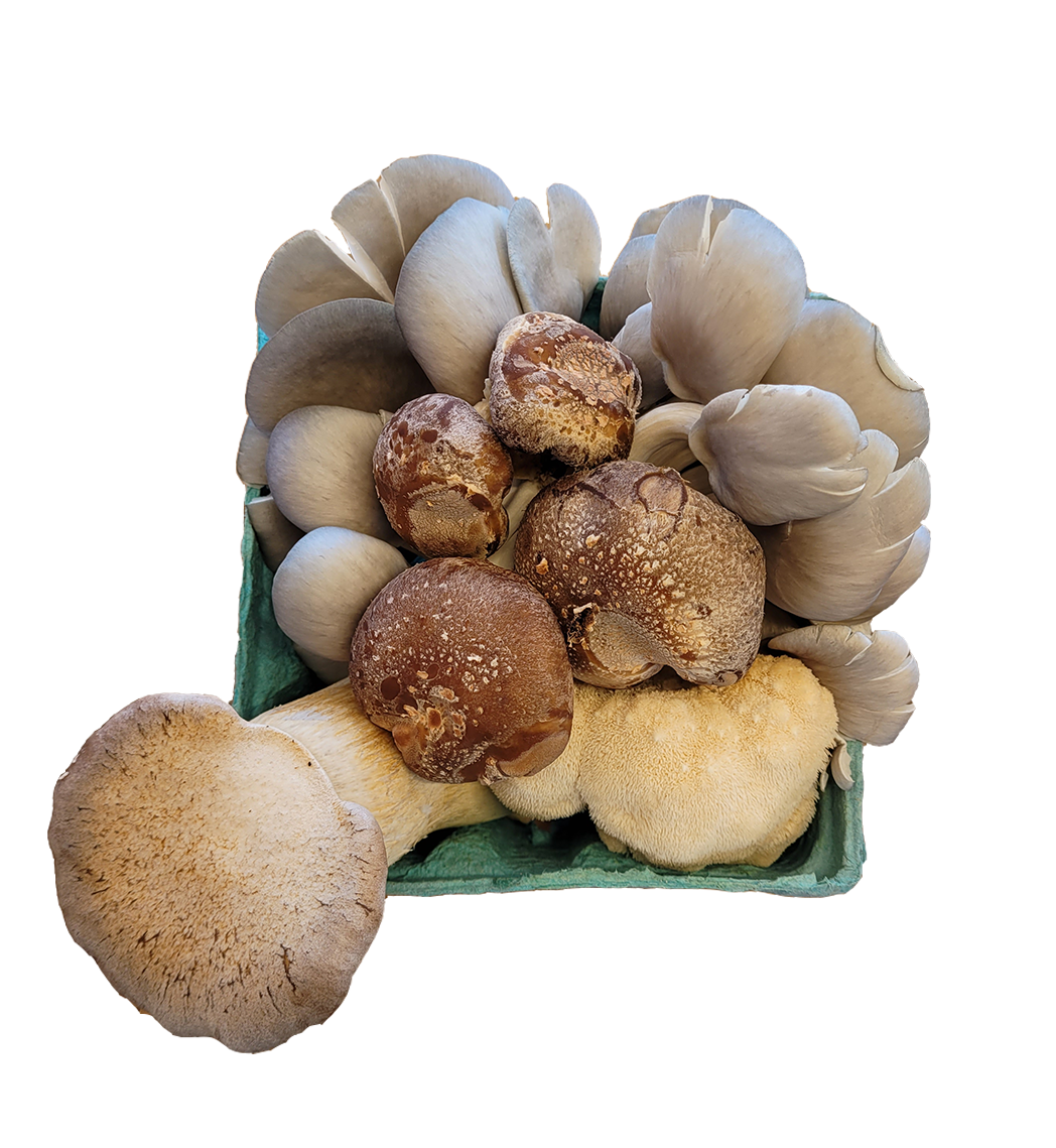 Mountain View Mushrooms